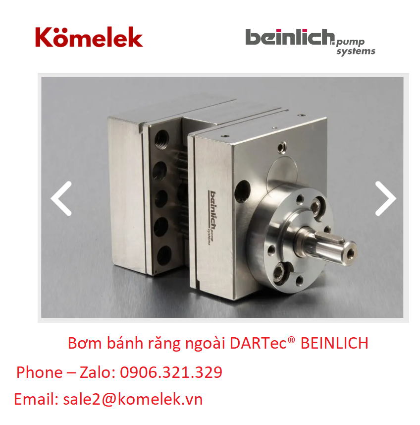 Bơm bánh răng ngoài DARTec® BEINLICH - Công ty TNHH Komelek Vietnam