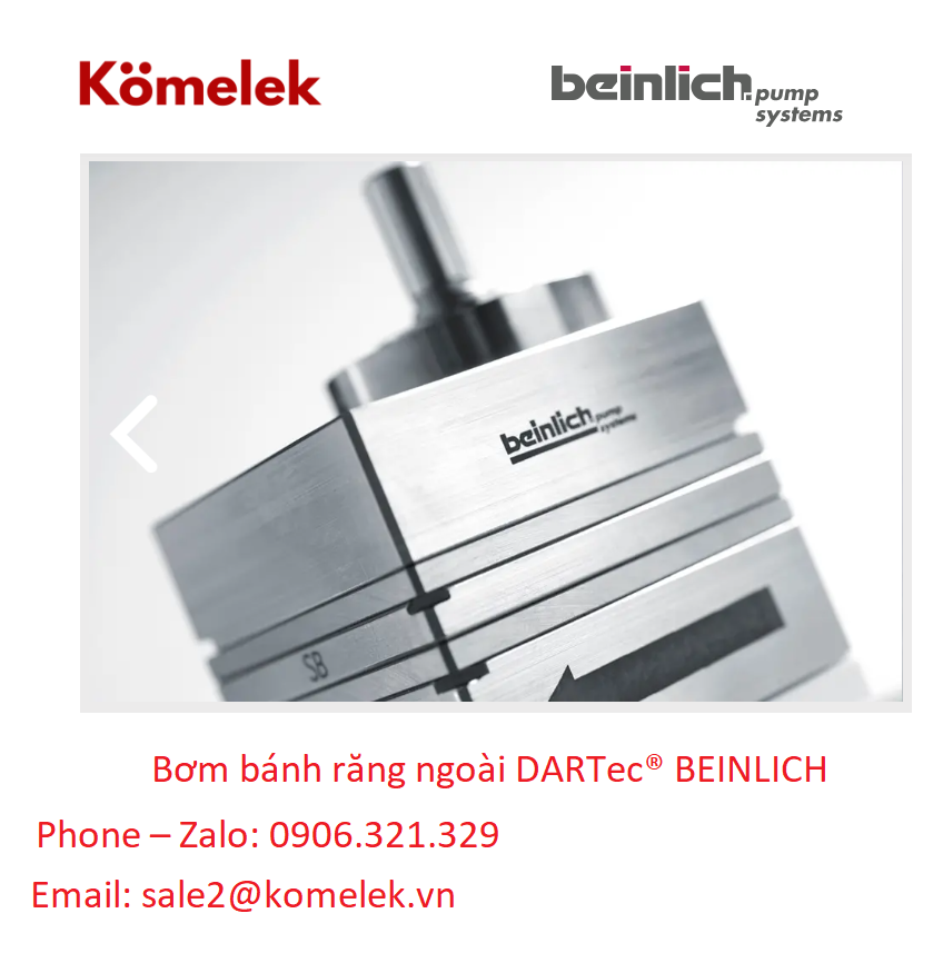 Bơm bánh răng ngoài DARTec® BEINLICH - Công ty TNHH Komelek Vietnam